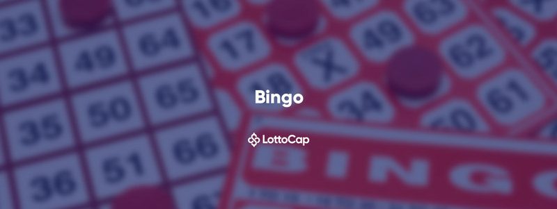 Bingo online: confira todas as informações sobre a modalidade