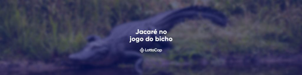 Qual é o Número do Jacaré no Jogo do Bicho? Confira aqui! Qual é o Número do Jacaré no Jogo do Bicho? Confira aqui!