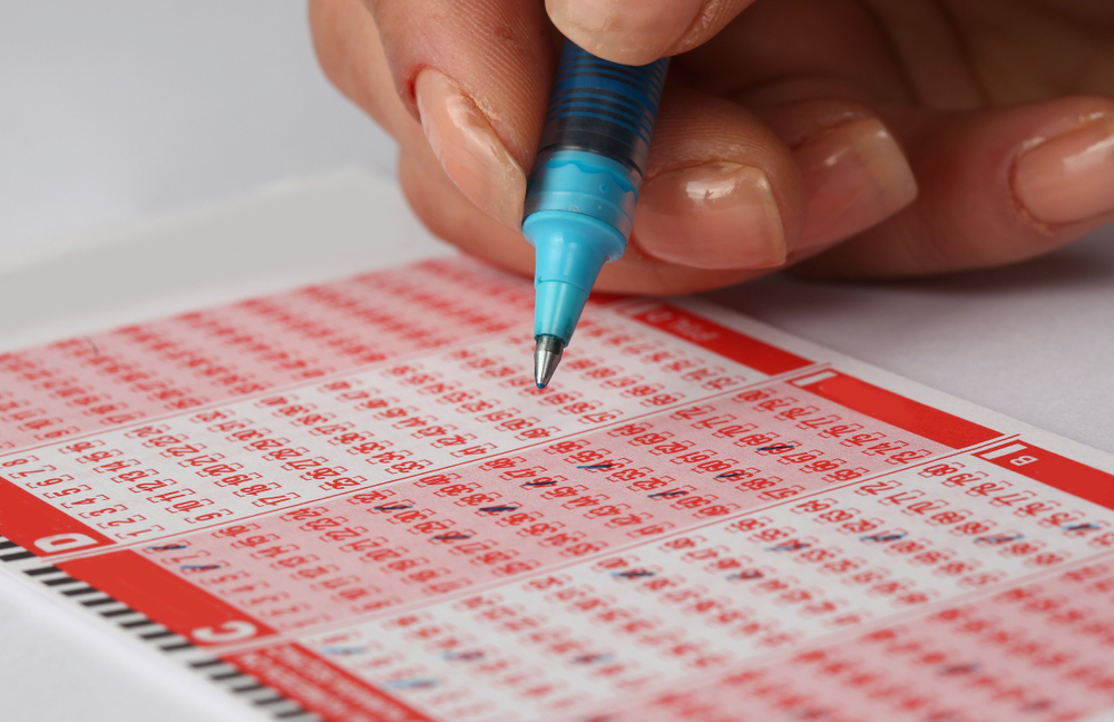 Curiosidades sobre a Quina que você não sabia | Blog LottoCap