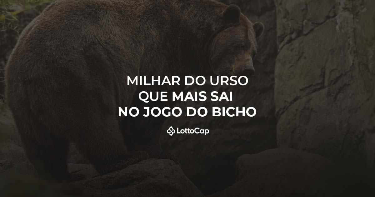 Qual é o Milhar do Urso que mais sai no Jogo do Bicho?